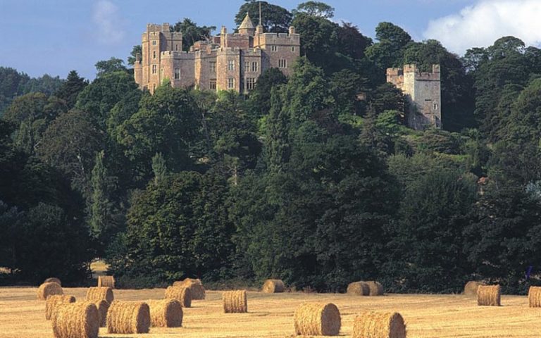 Ashe Farm Camping & Caravan Site – The Camping & Caravan Site